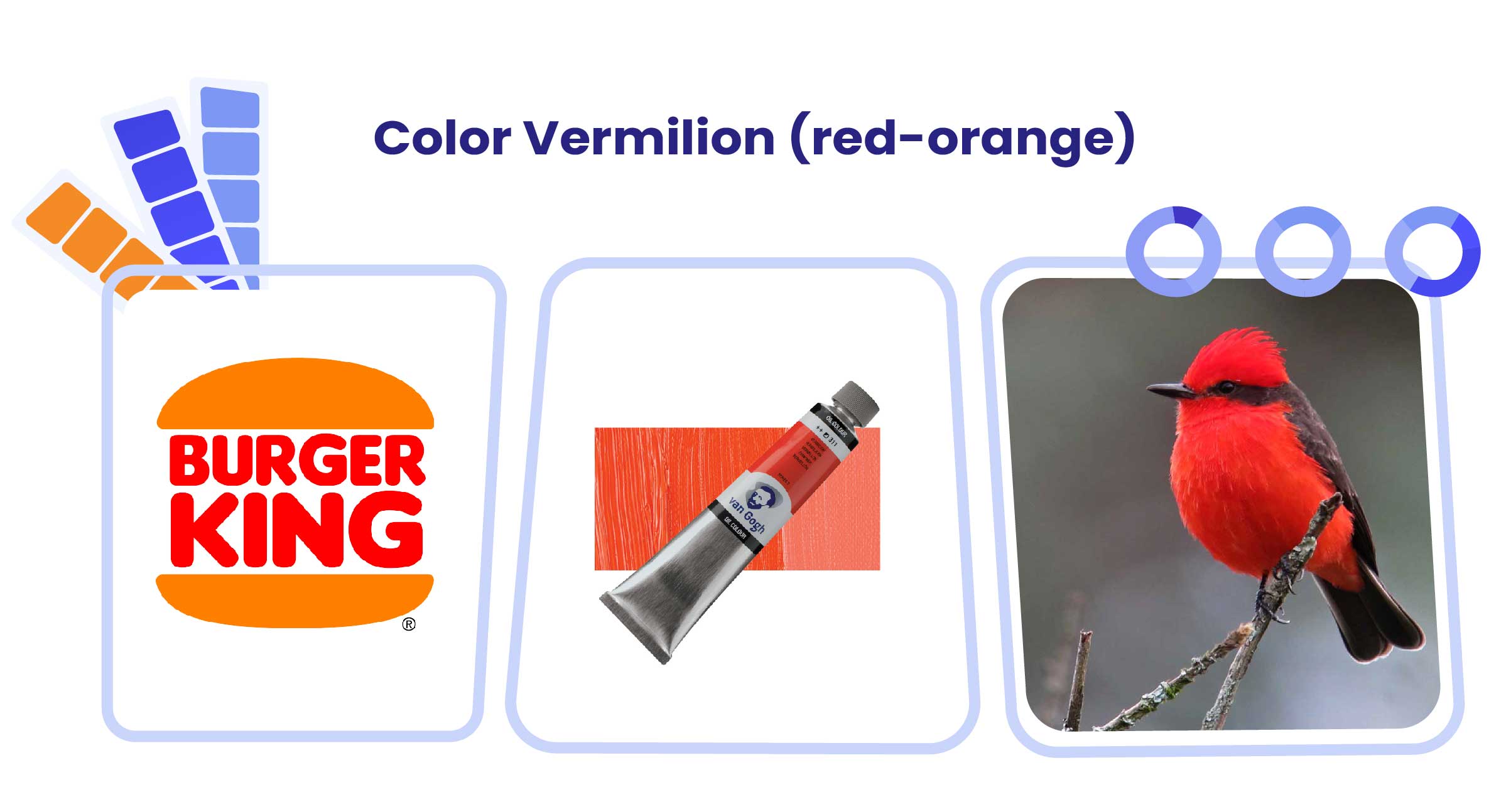 What Are Tertiary Colors? (Learn Their Impact in Web Design)