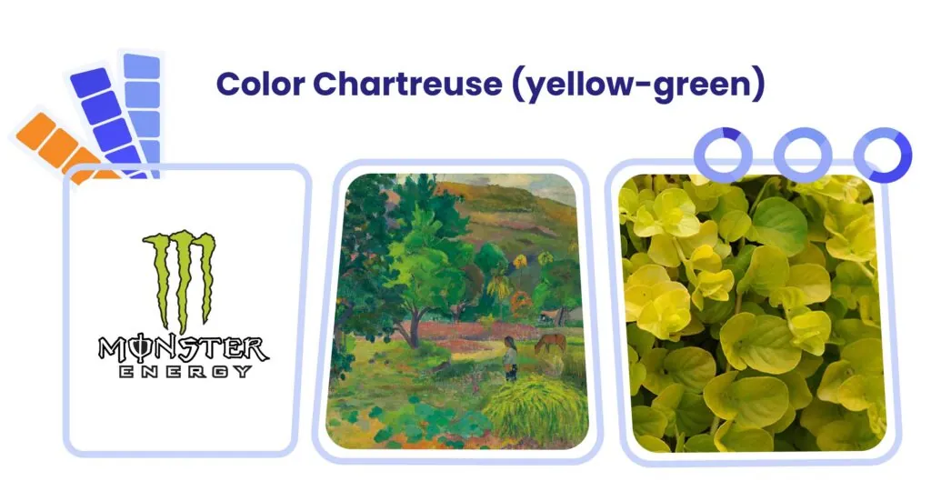 What Are Tertiary Colors? (Learn Their Impact in Web Design)