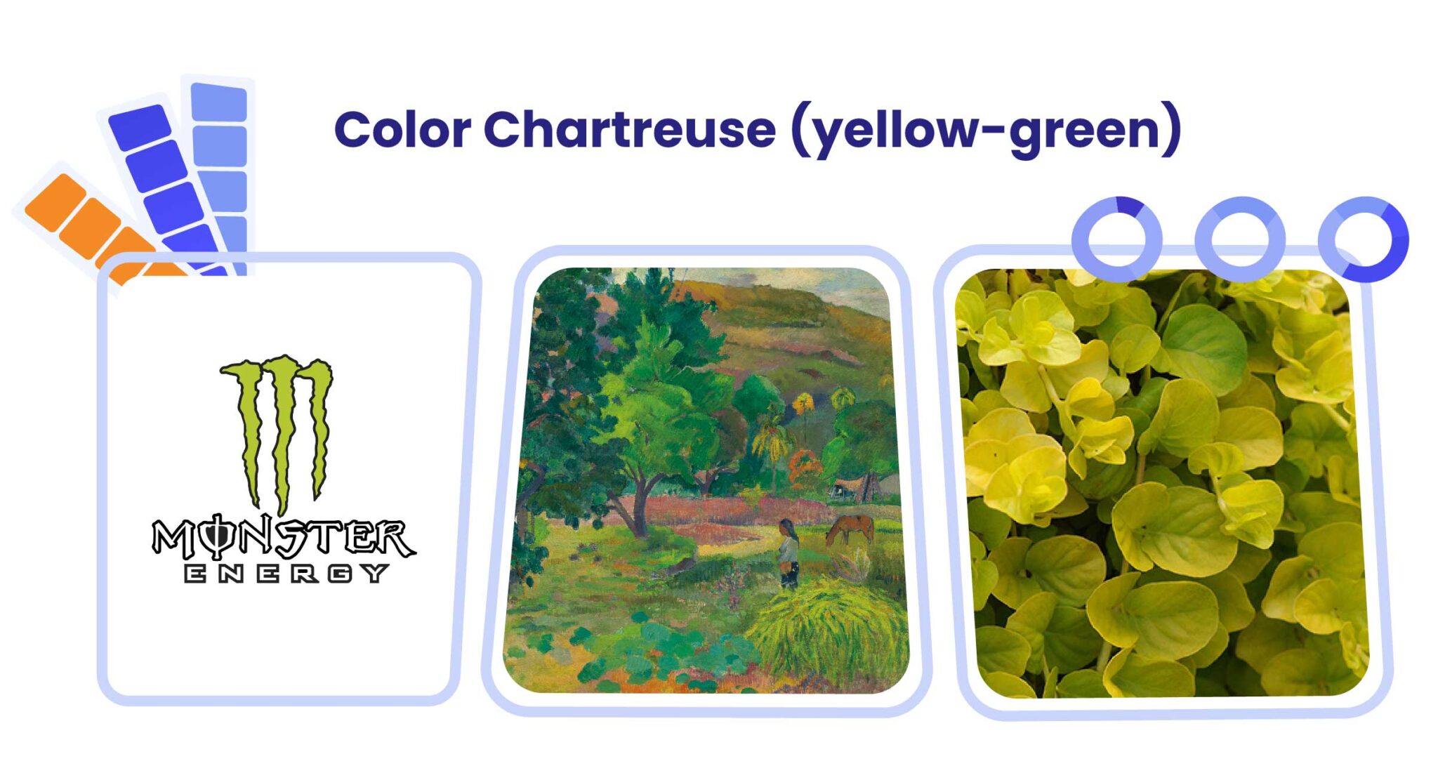 What Are Tertiary Colors? (Learn Their Impact in Web Design)