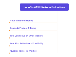 White Label Solution Explained: Benefits & Best Practices
